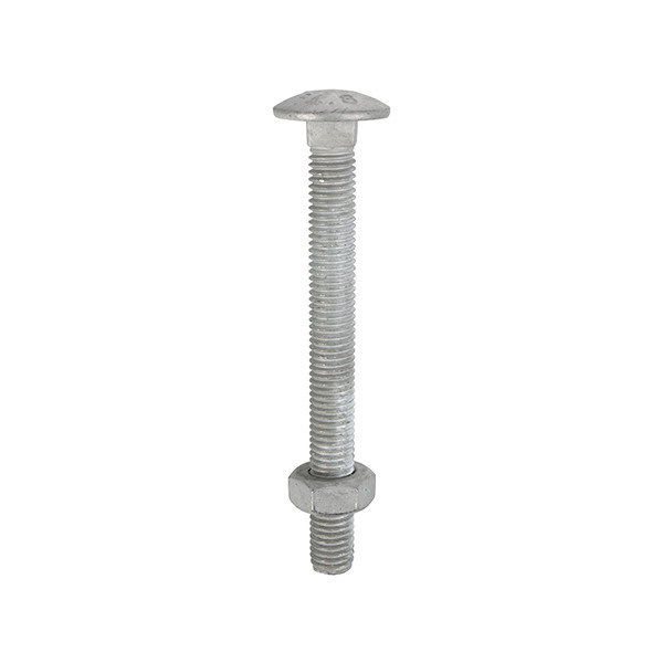 Timco 10150CBG Carriage Bolts & Hex Nut M10 x 150mm HDG (25)